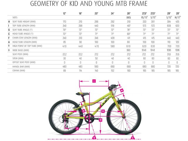 dětské kolo AMULET 24 Fun, blue shiny/light green shiny, 2022 | BIKE ...